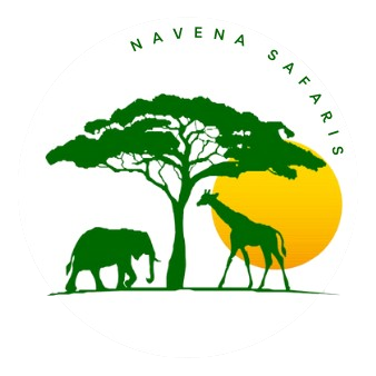 Navena Safaris